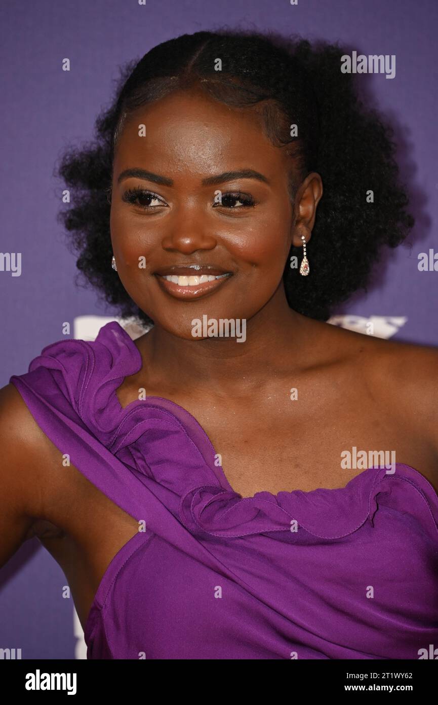 Royal Festival Hall, London, UK. 15th Oct, 2023. Sherrie Silver attends ...