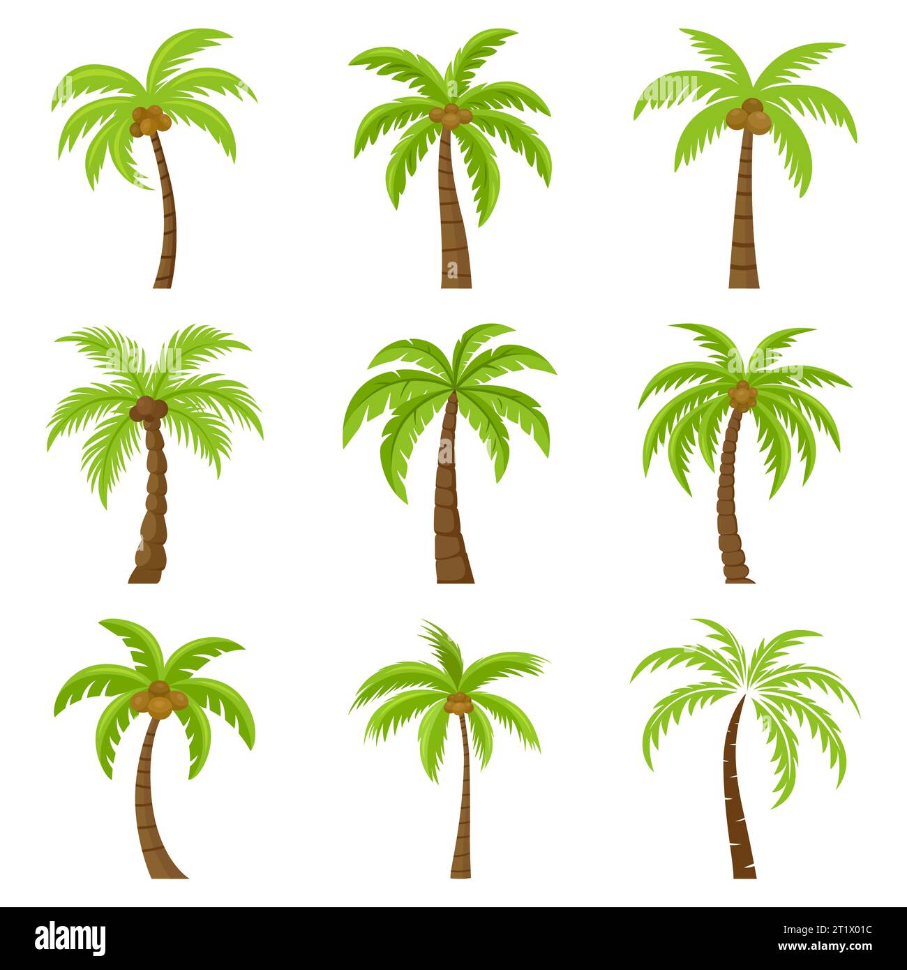Flat Vector Cartoon Palm Trees, Palm Tree Icon Set Isolated. Palm ...