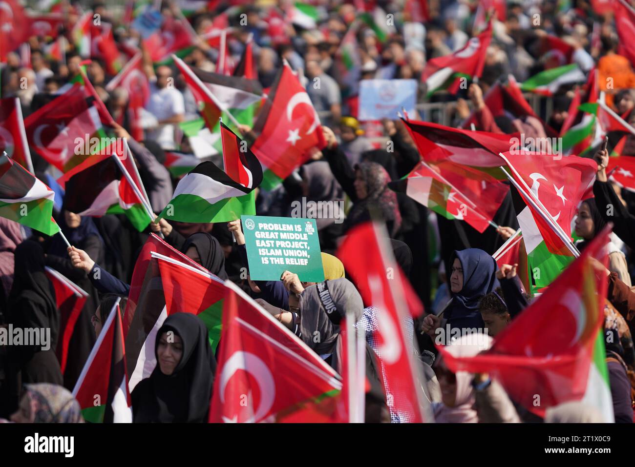 Istanbul, TURKIYE. 15th Oct, 2023. Protestors wave flags during free ...