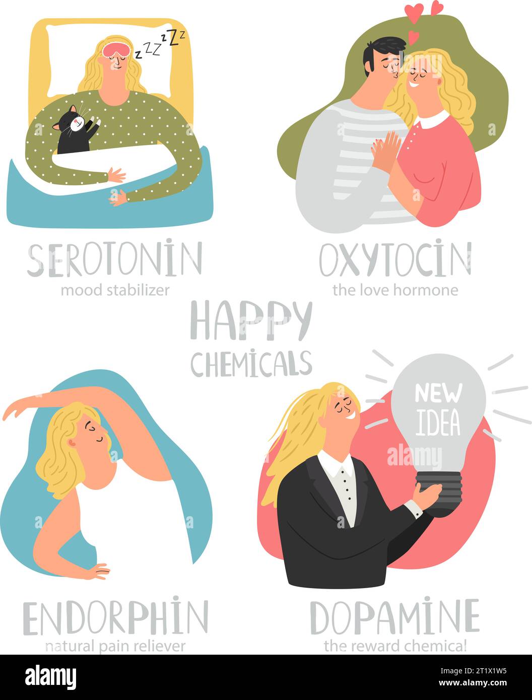 Endorphin Dopamine Oxytocin Serotonin Hormones Colorful Vector