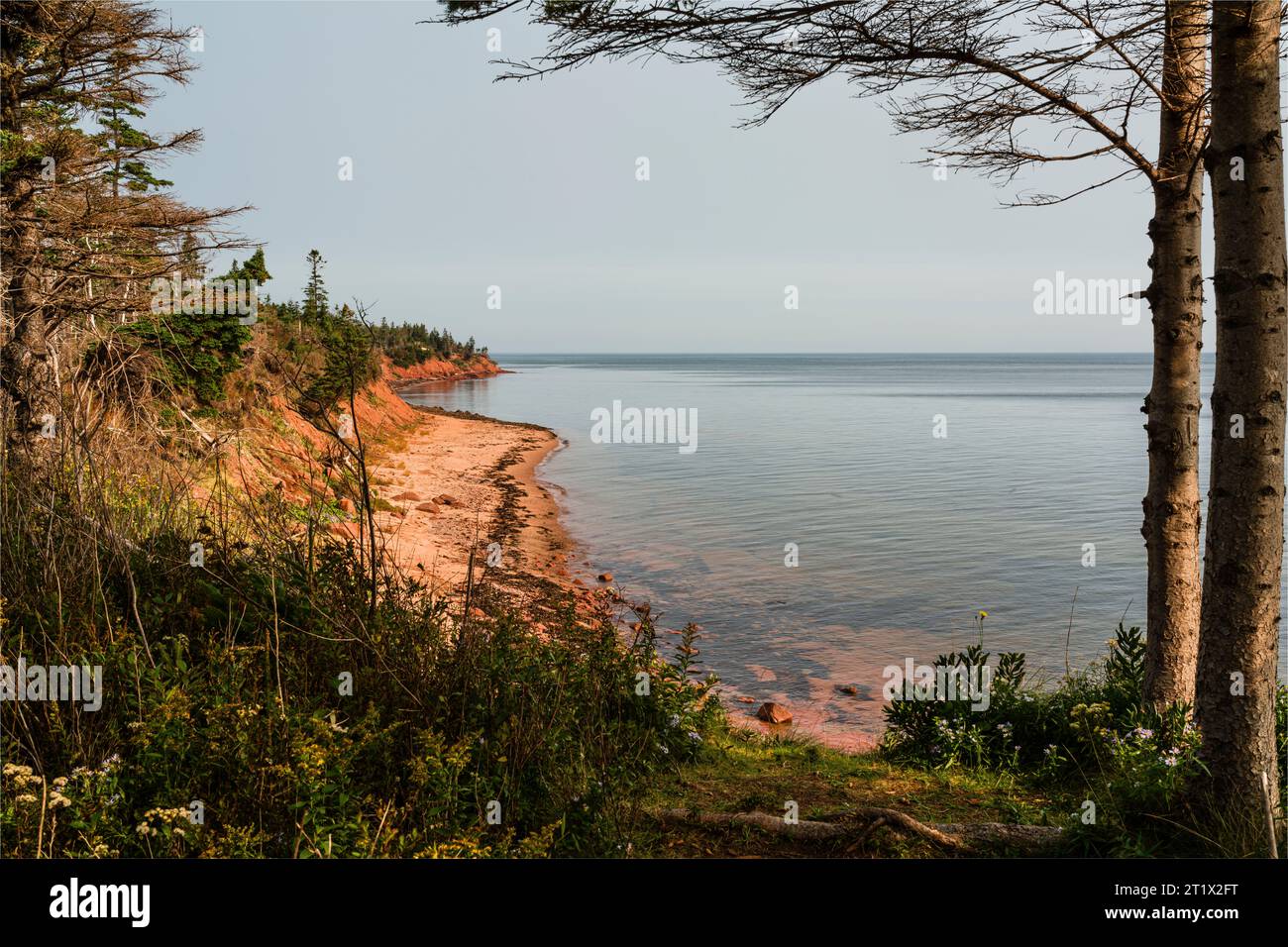 Murray Head from Cape Bear Lighthouse & Marconi Station Murray Harbor ...