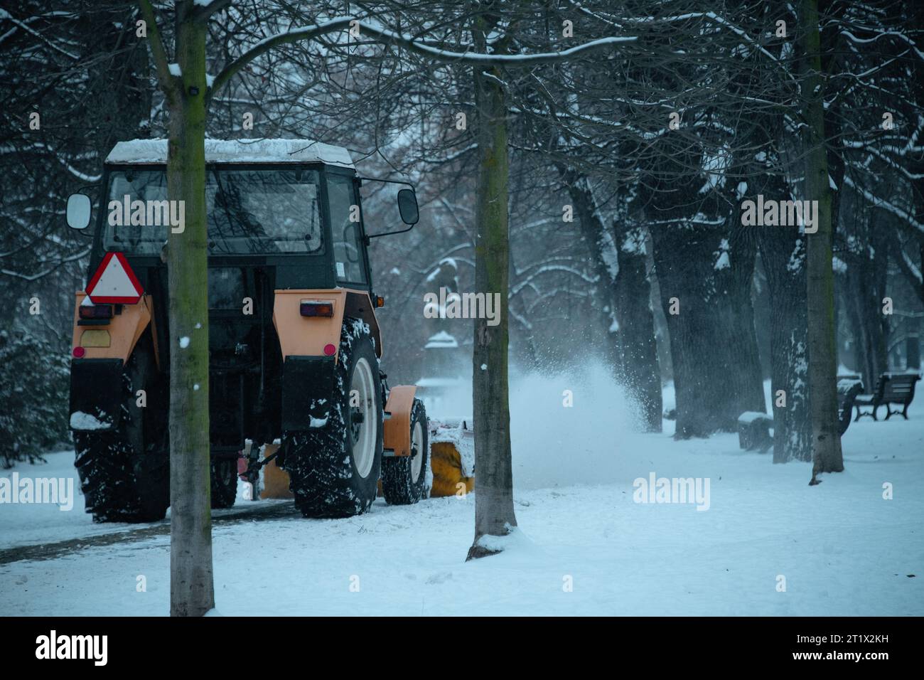 Cleaning in city park hi-res stock photography and images - Alamy