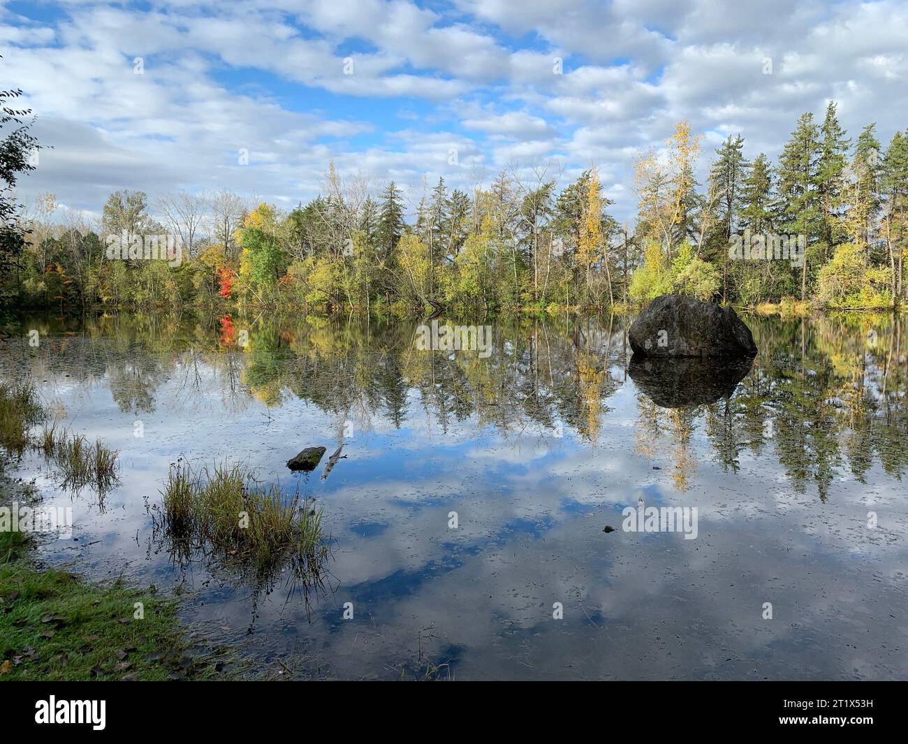 Saint bruno hi-res stock photography and images - Alamy