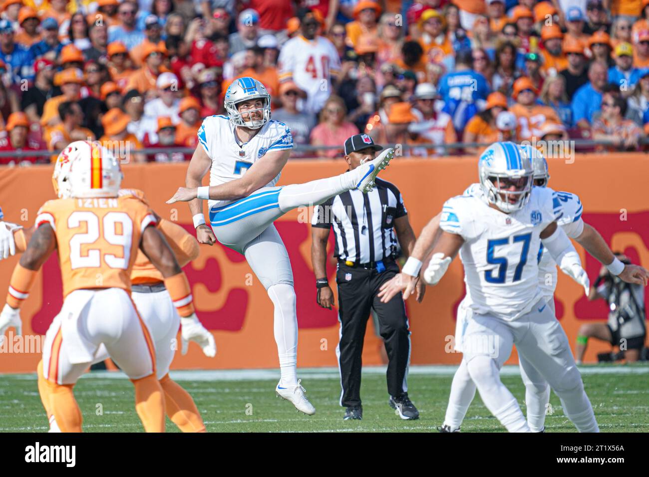 Jack fox hi-res stock photography and images - Alamy