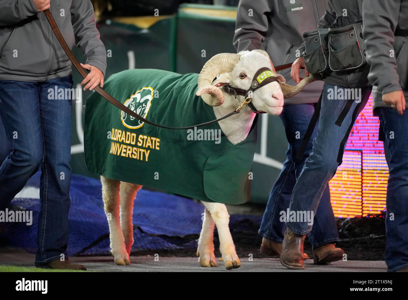 Colorado State mascot Cam the ram in the second half of an NCAA college ...