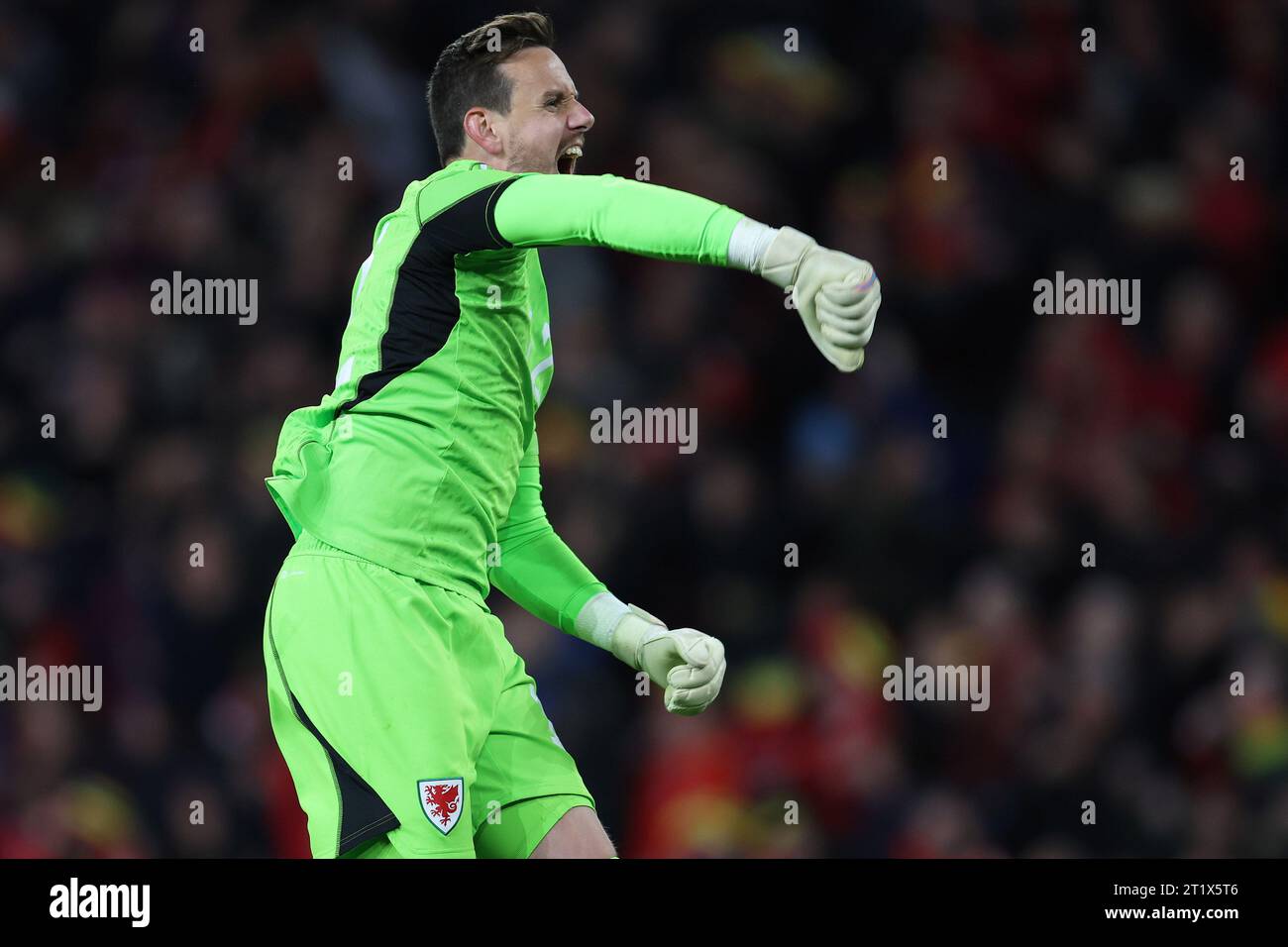 Cardiff, UK. 15th Oct, 2023. Danny Ward, the goalkeeper of Wales ...