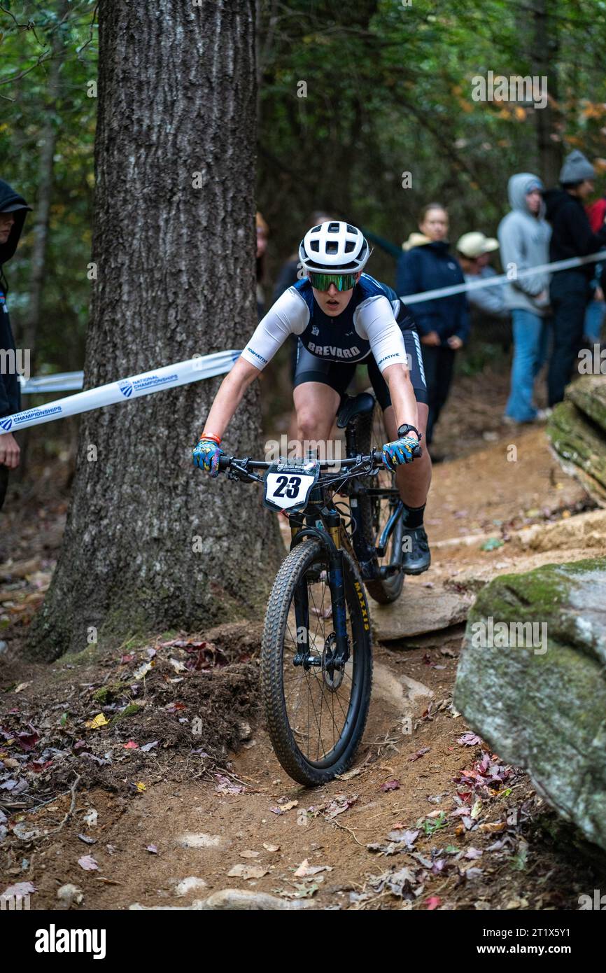 Brevard north carolina college hi-res stock photography and images - Alamy