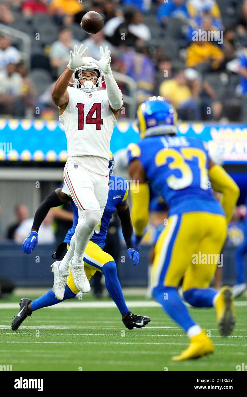 Arizona Cardinals wide receiver Michael Wilson (14) makes a catch ...