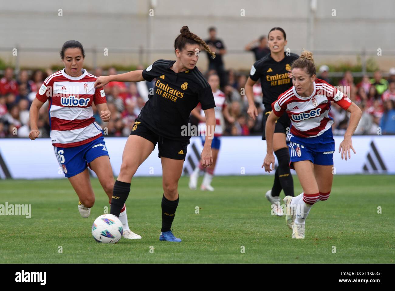 Abileira hi-res stock photography and images - Alamy