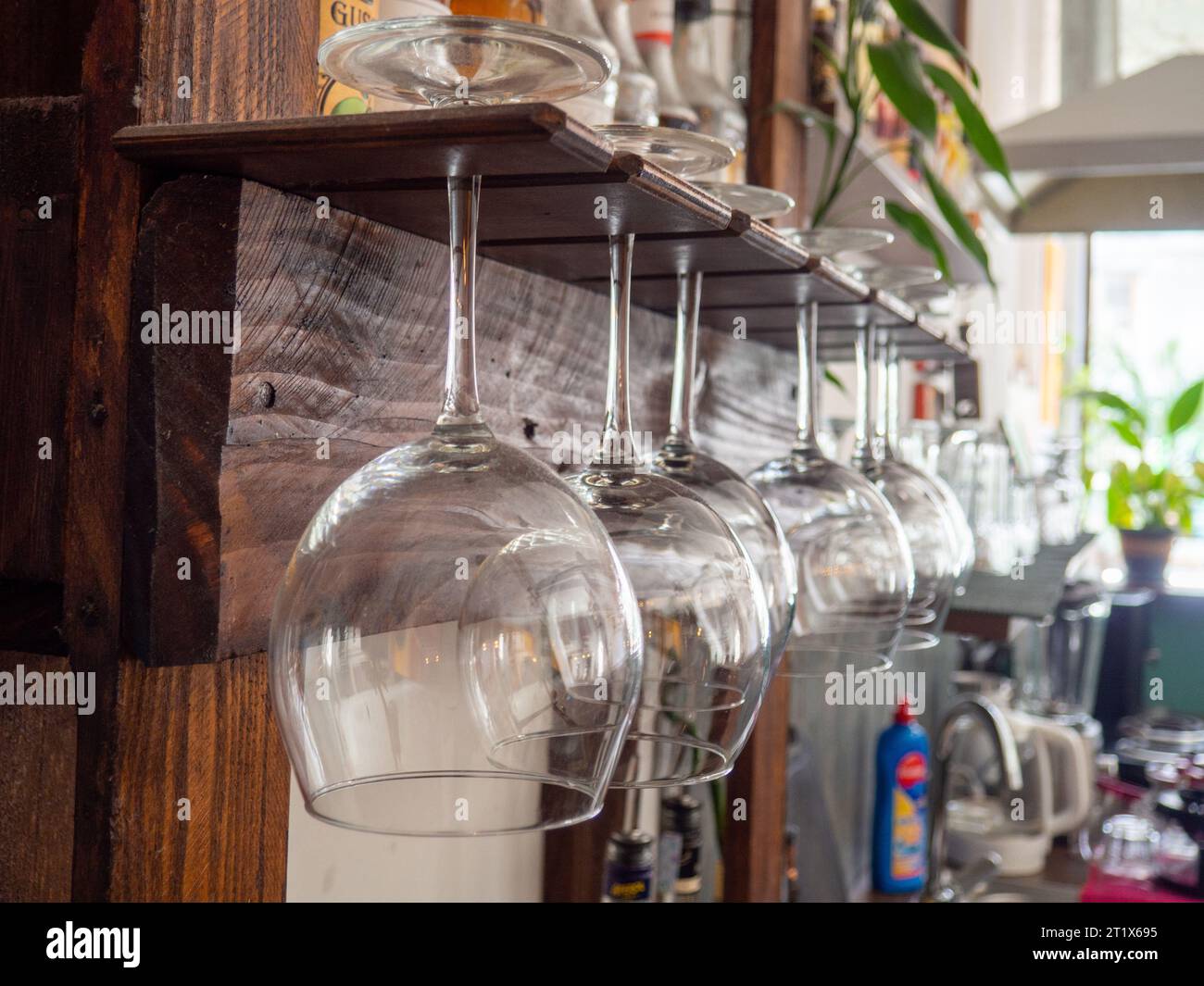Glasses hang over the bar counter. The glasses are turned upside down ...