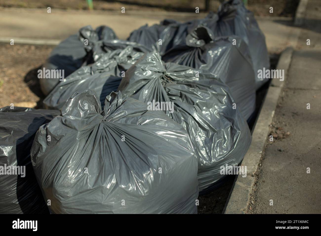 Bag of garbage on street. Black plastic bag. Knotted waste bag ...