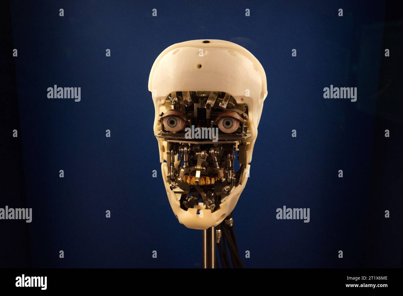 Animatronics at the Disney100 exhibition Stock Photo - Alamy