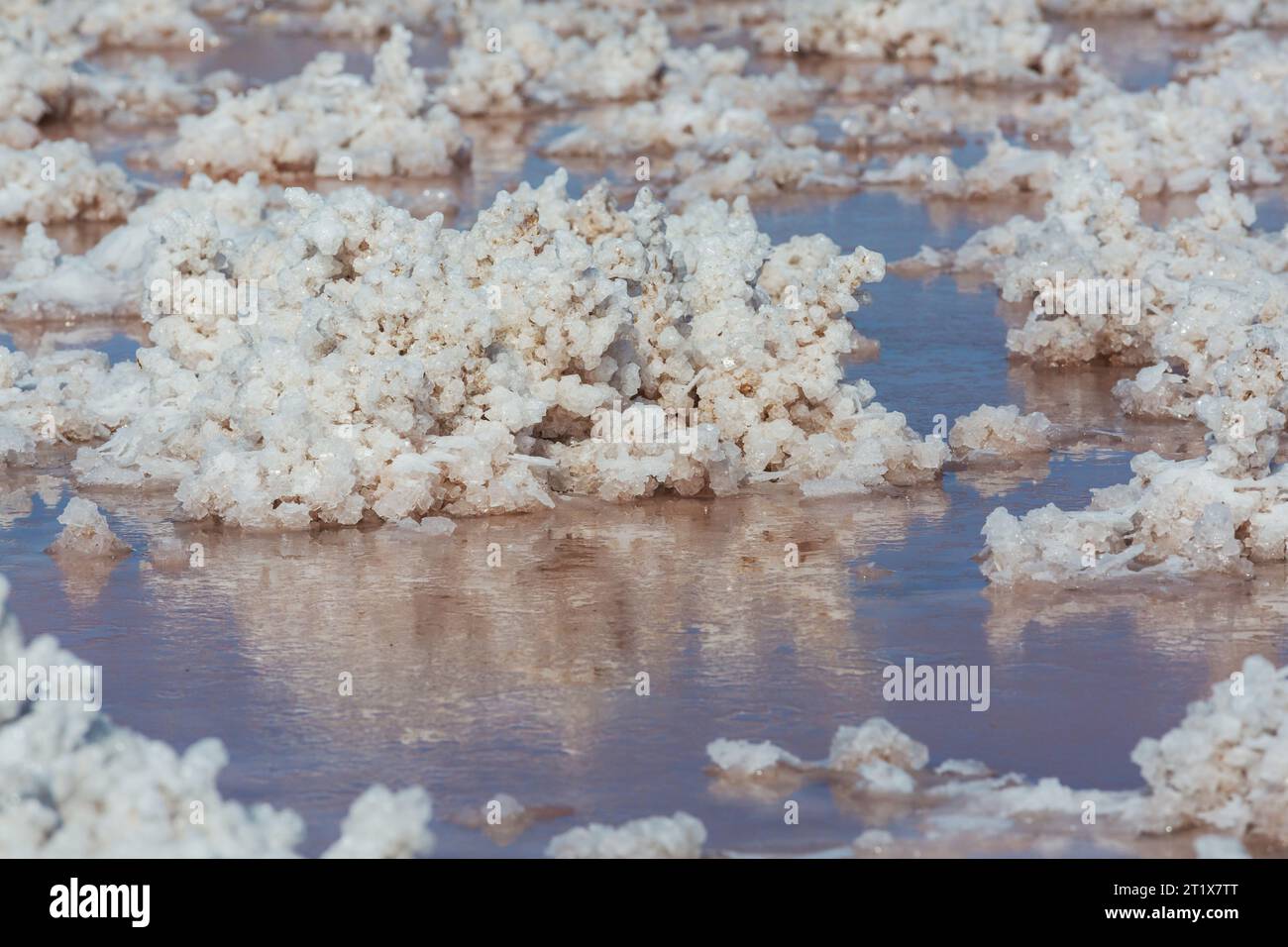 salt pond in the Baja California, Mexico Stock Photo - Alamy