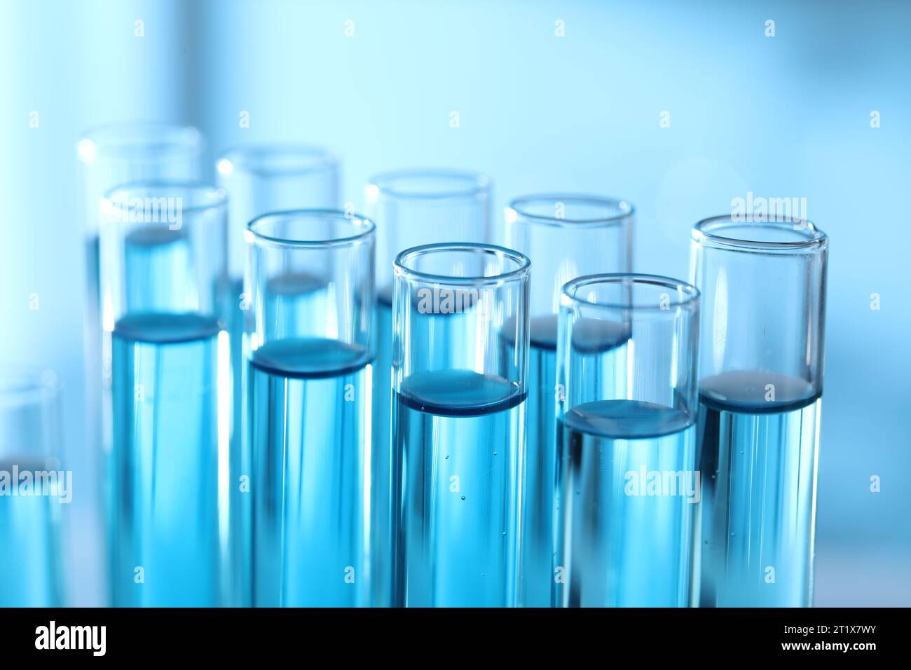 Test tubes with light blue liquid in laboratory, closeup Stock Photo ...