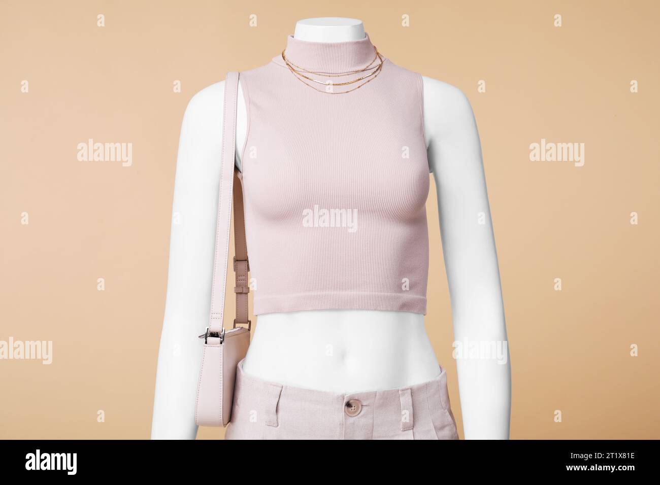 Female mannequin with bag dressed in stylish crop top and pants on ...
