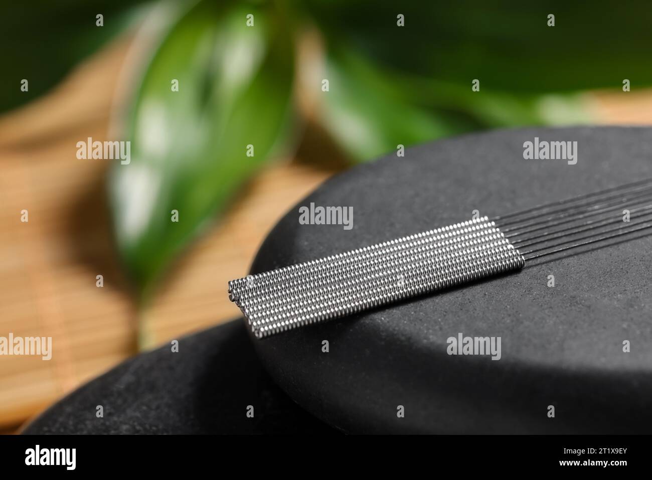 Needles closeup hi-res stock photography and images - Alamy