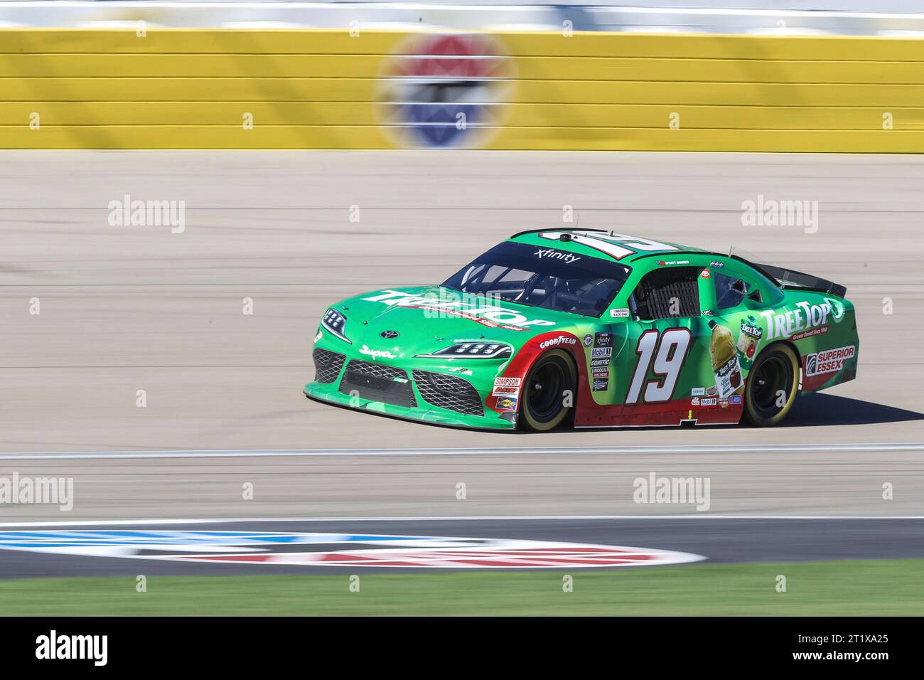 LAS VEGAS, NV - OCTOBER 14: Myatt Snider (#19 Joe Gibbs Racing Tree Top ...