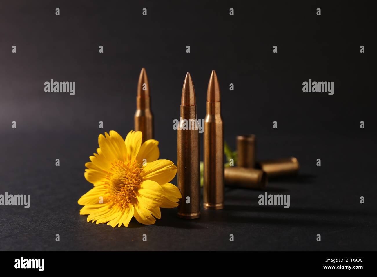 Bullets cartridge case beautiful hi-res stock photography and images ...