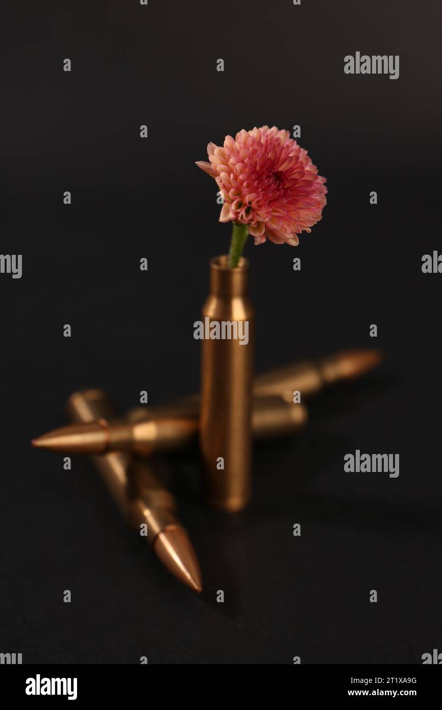 Bullets and cartridge case with beautiful flower on black background ...