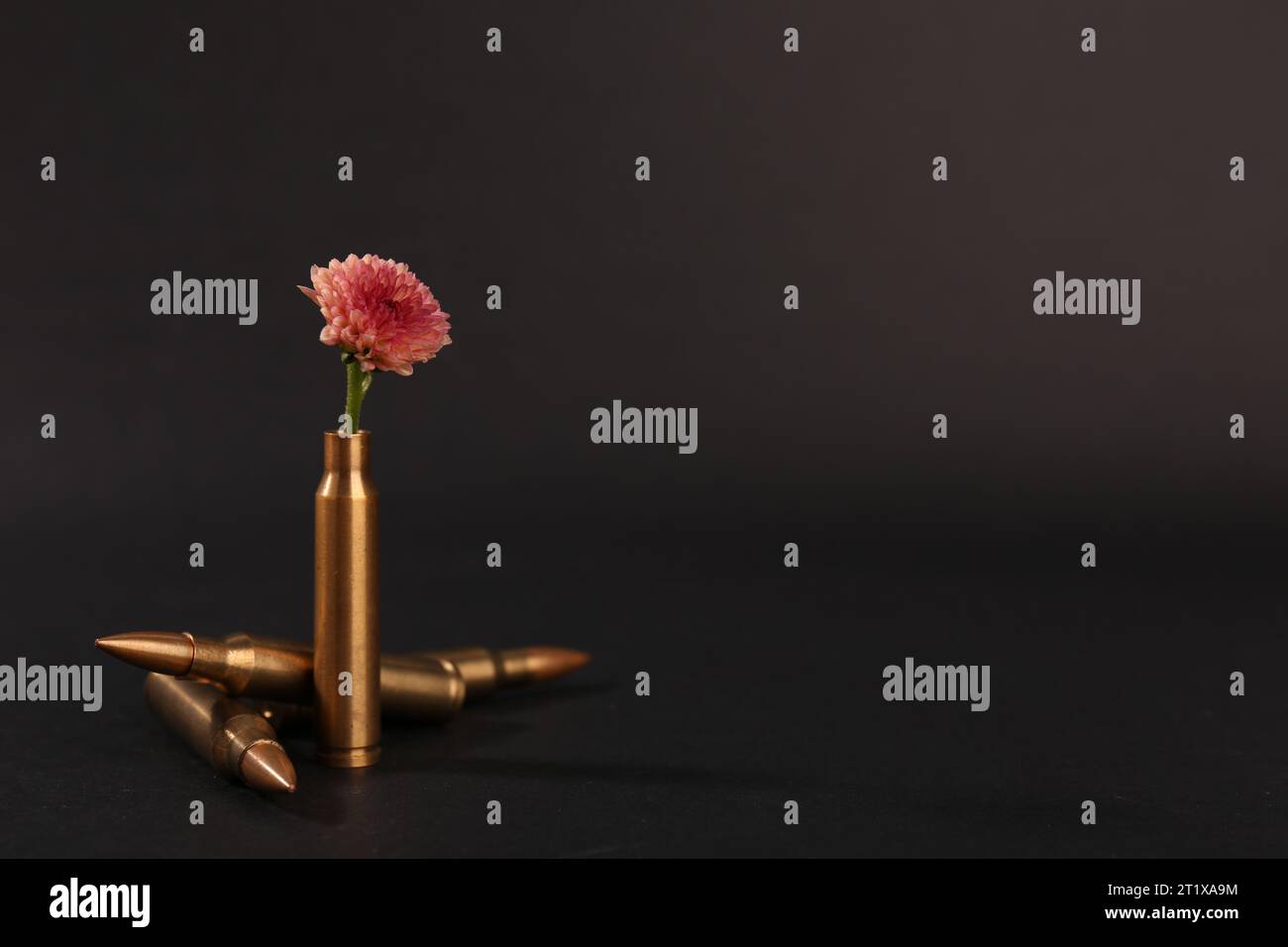 Bullets and cartridge case with beautiful flower on black background ...