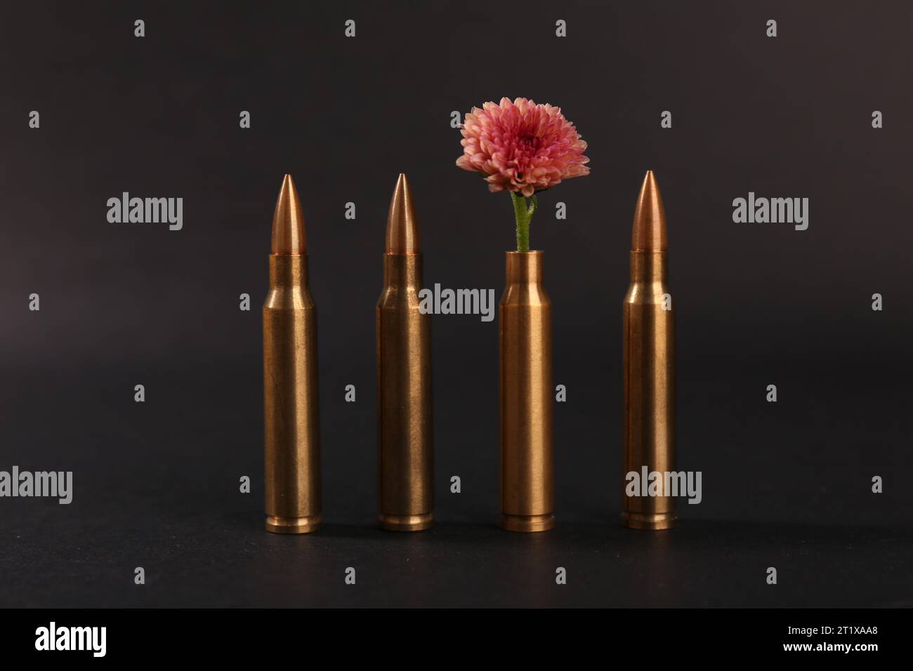 Bullets and cartridge case with beautiful flower on black background ...