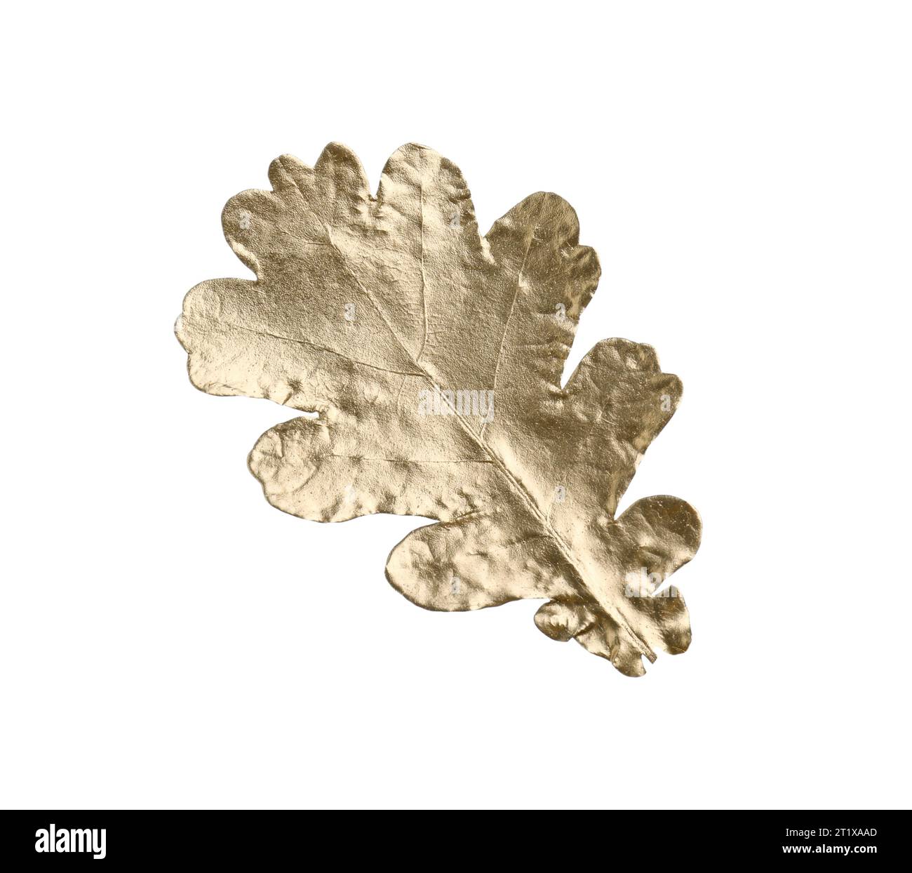 One golden oak leaf isolated on white. Autumn season Stock Photo - Alamy