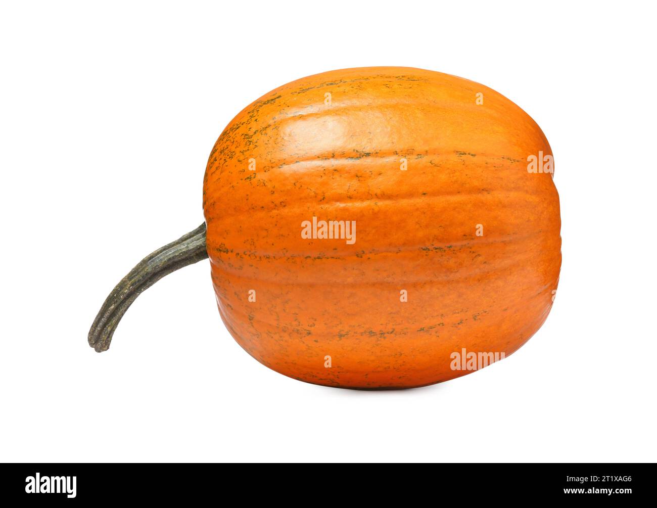 One fresh orange pumpkin isolated on white Stock Photo - Alamy