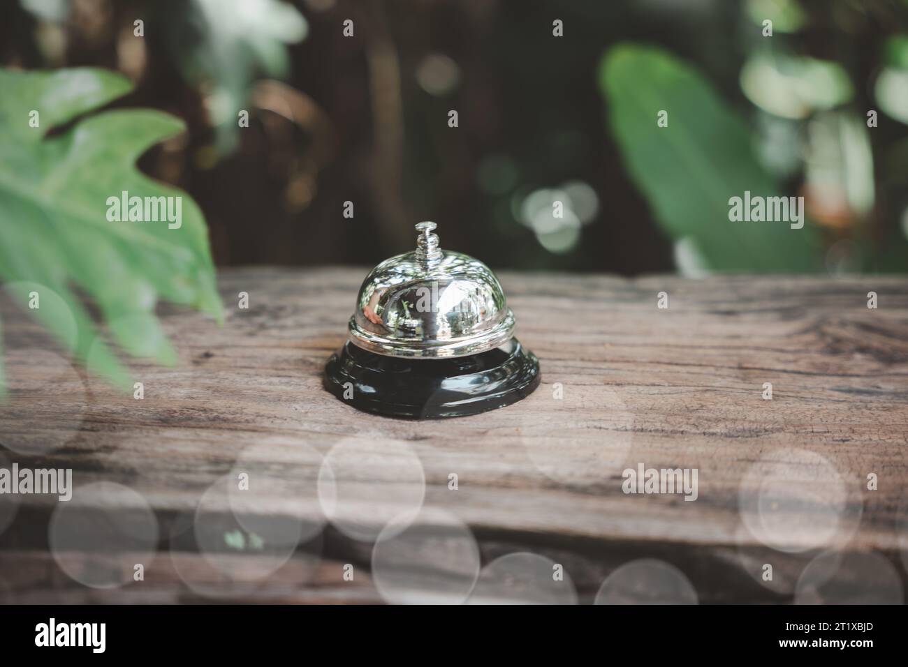 Pterygium hi-res stock photography and images - Alamy