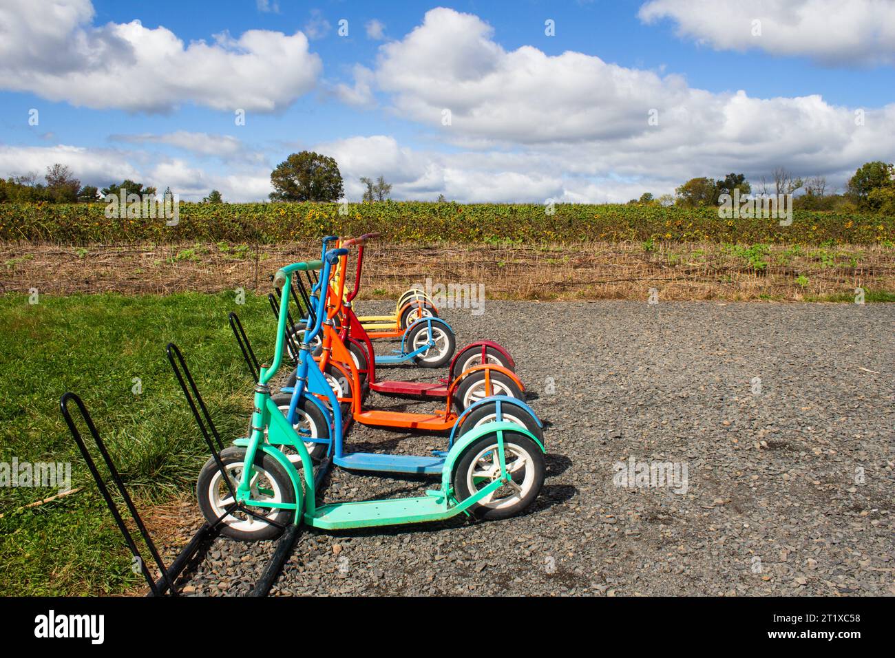 Coloured scooters hi-res stock photography and images - Alamy