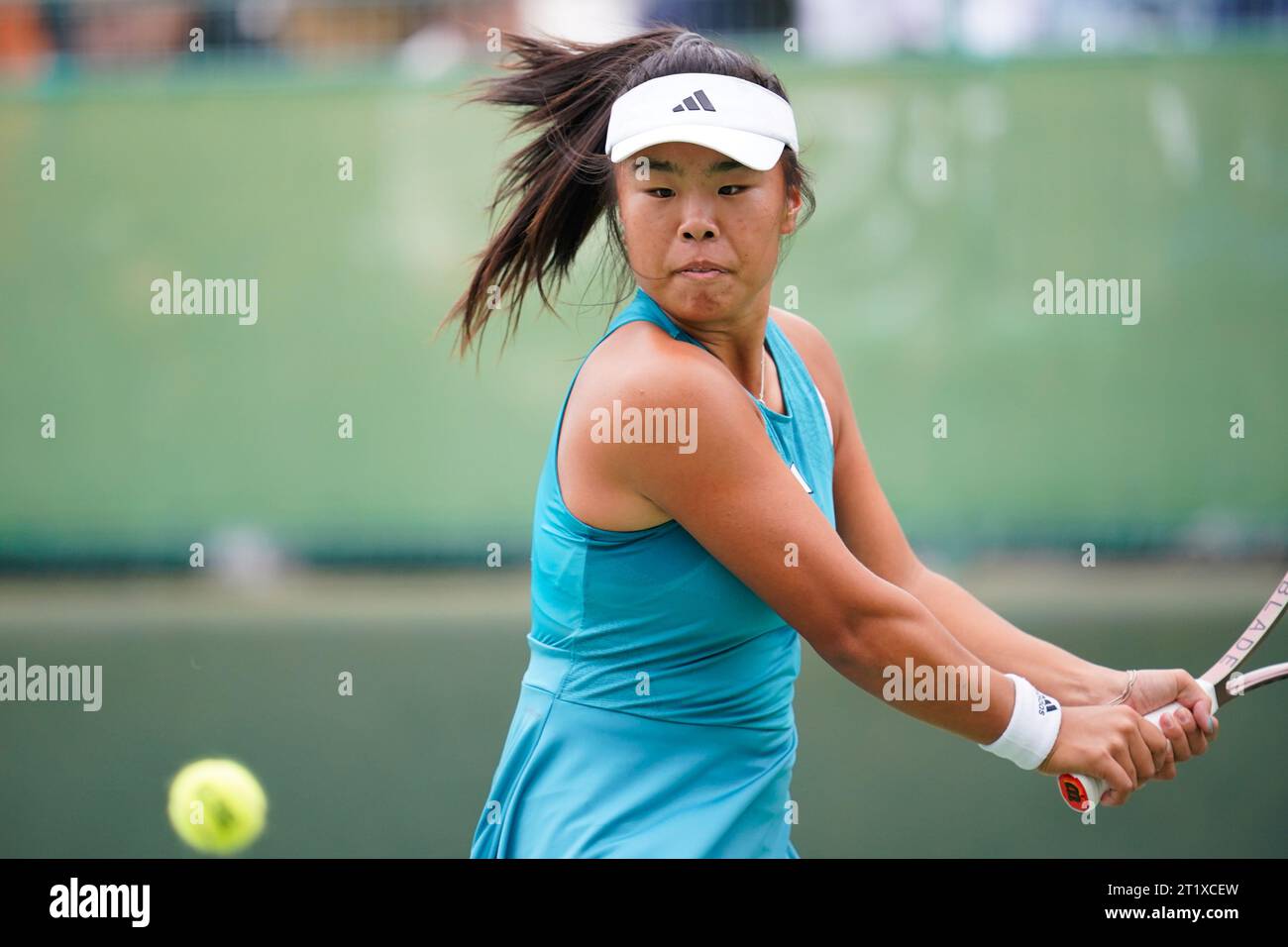 Mingge xu hi-res stock photography and images - Alamy