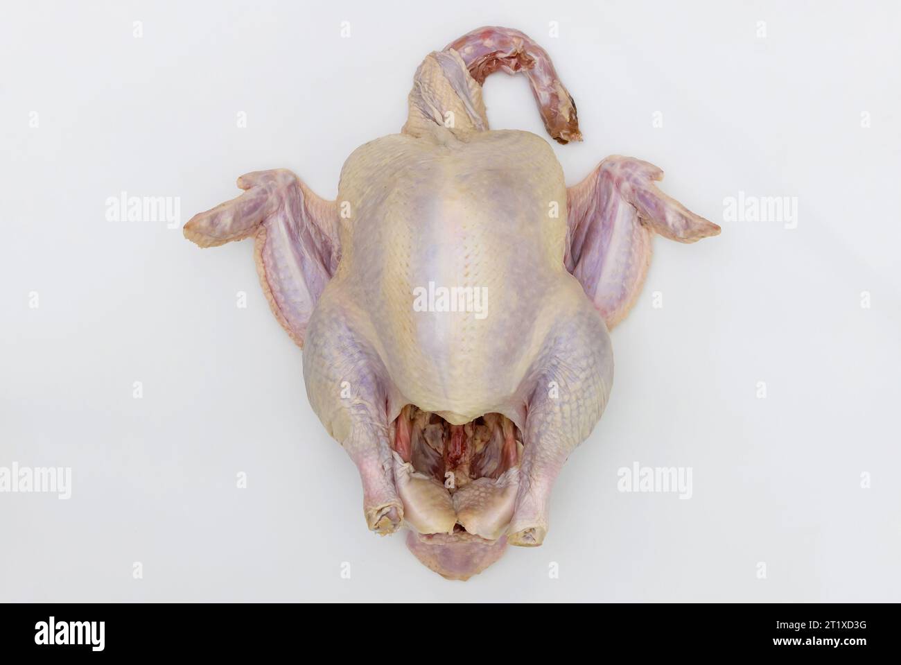 Getting raw turkey ready hi-res stock photography and images - Alamy