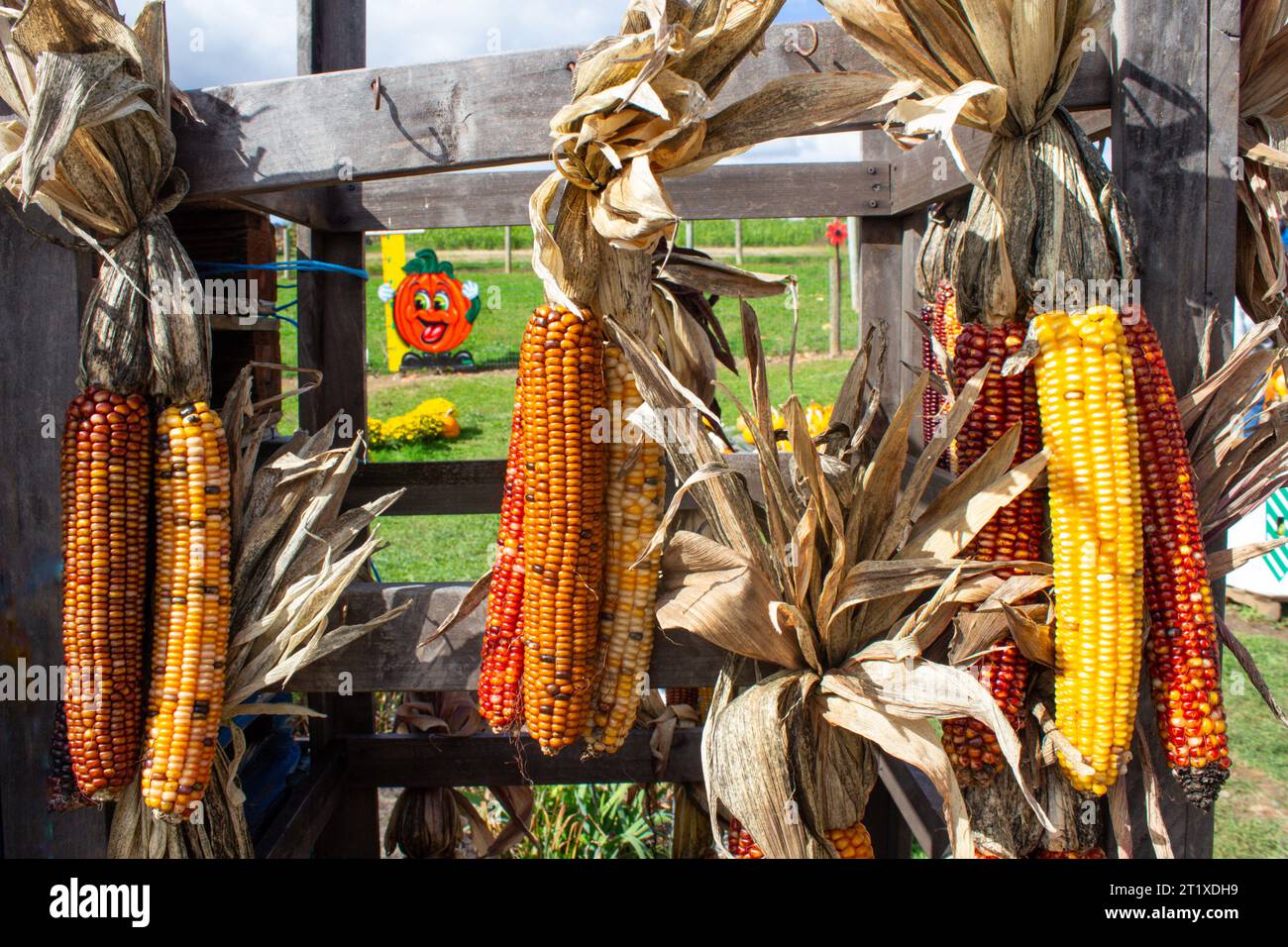 Natural fence on vegetable garden hi-res stock photography and images ...