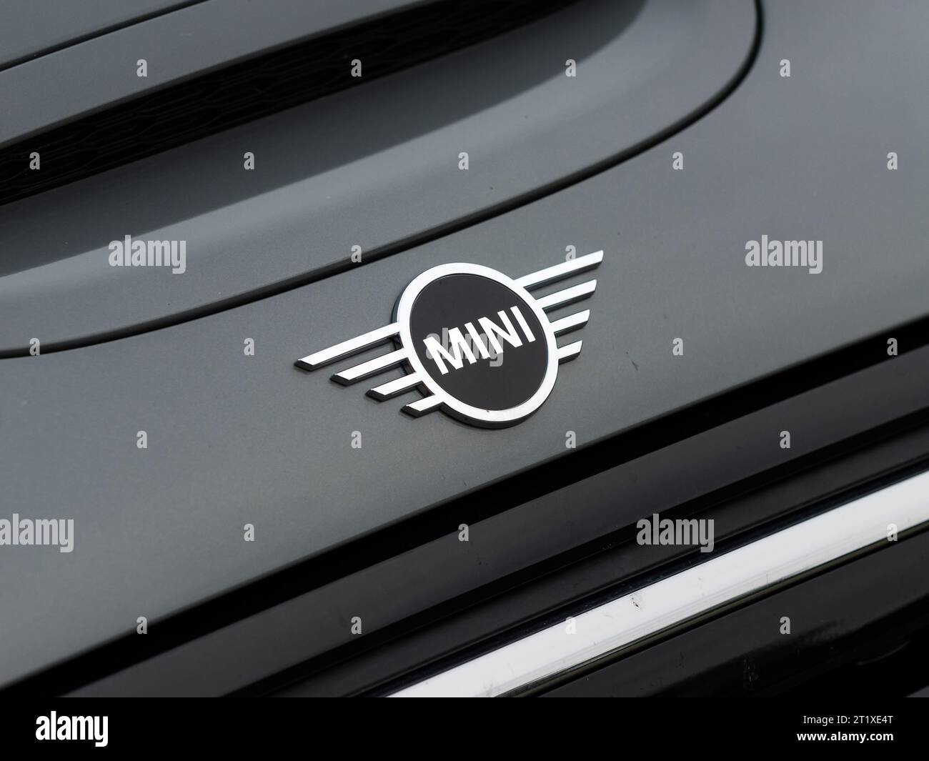 Mini brand logo sign of the British car manufacturer. Emblem on a grey ...