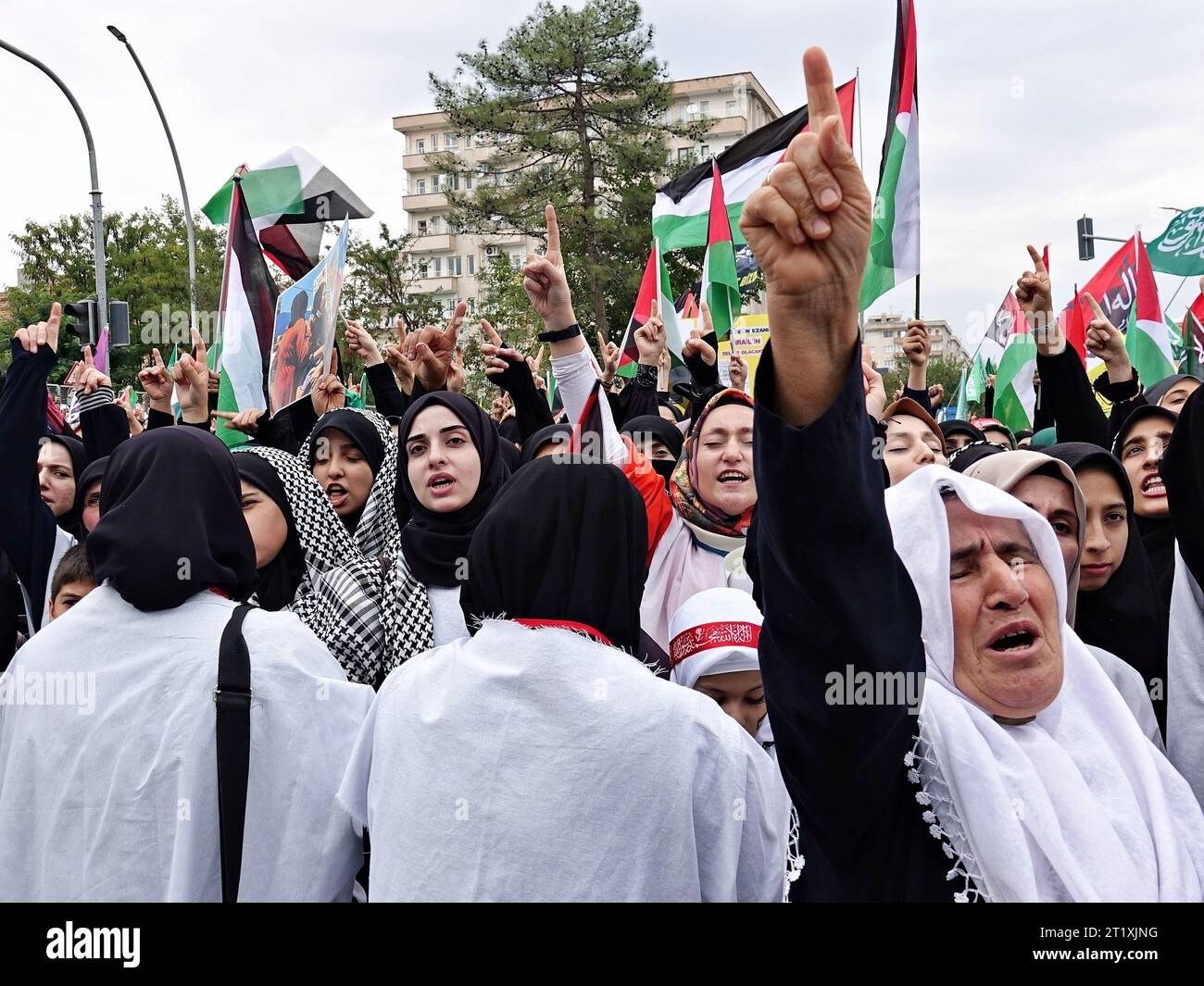 A woman cries during a rally in solidarity with Palestine at Station ...