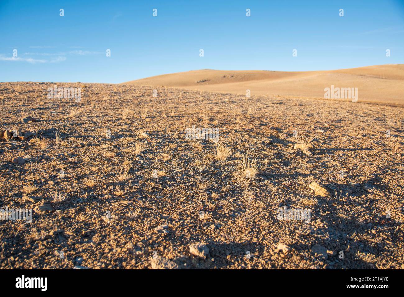 The spine of the White Mountains near Bishop, Inyo County, CA, feature ...