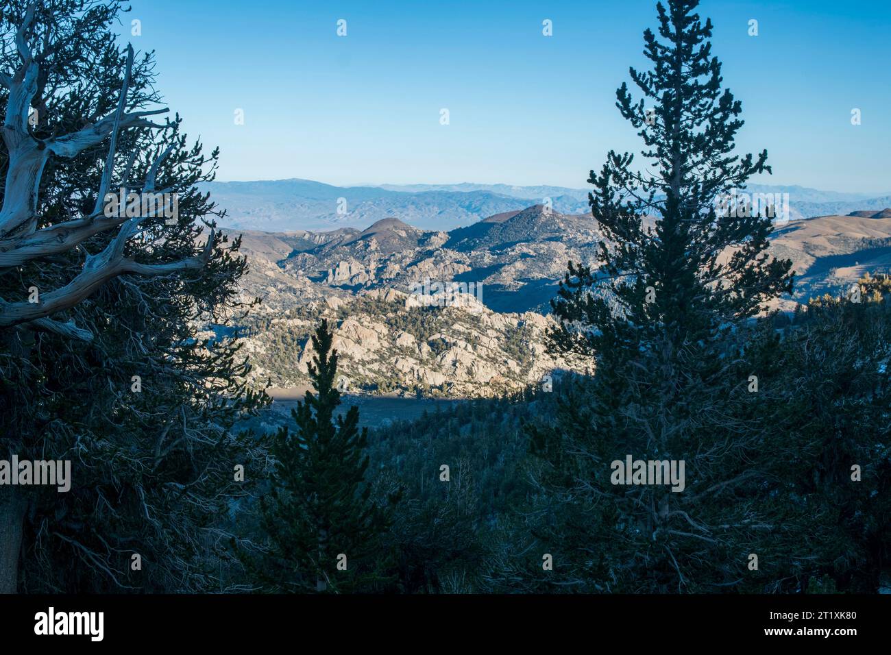 The spine of the White Mountains near Bishop, Inyo County, CA, feature ...