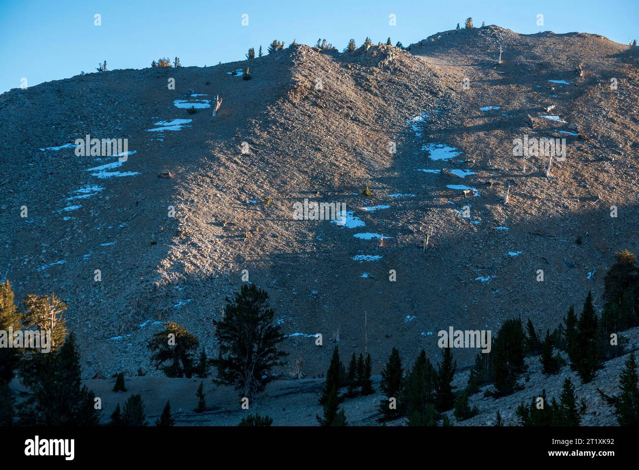 The spine of the White Mountains near Bishop, Inyo County, CA, feature ...