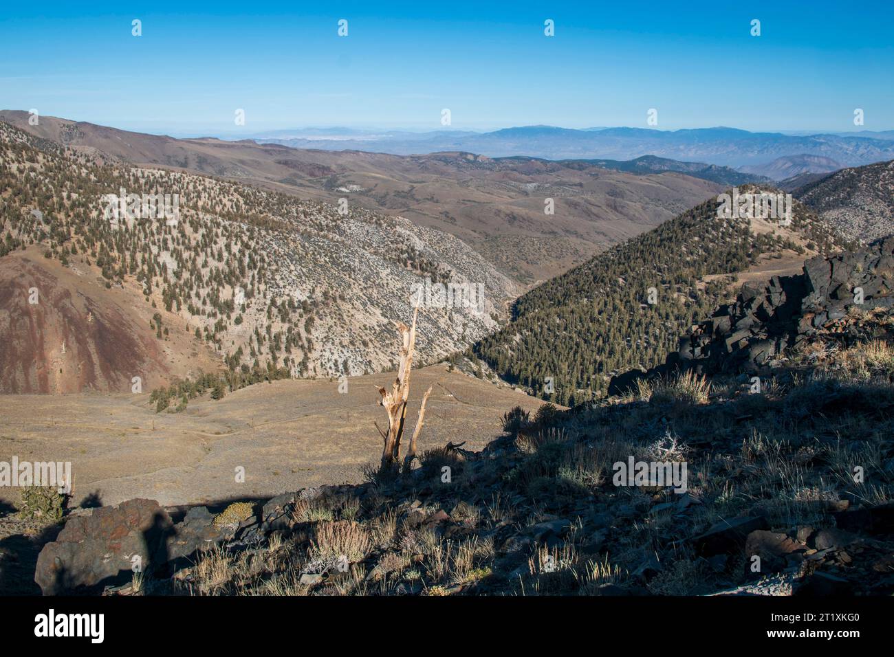 The spine of the White Mountains near Bishop, Inyo County, CA, feature ...