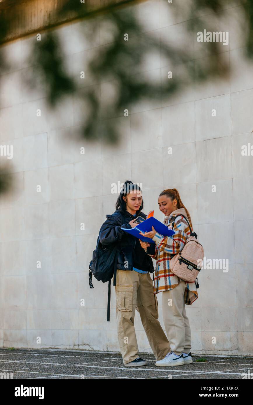 Two high school best friends helping each other Stock Photo - Alamy