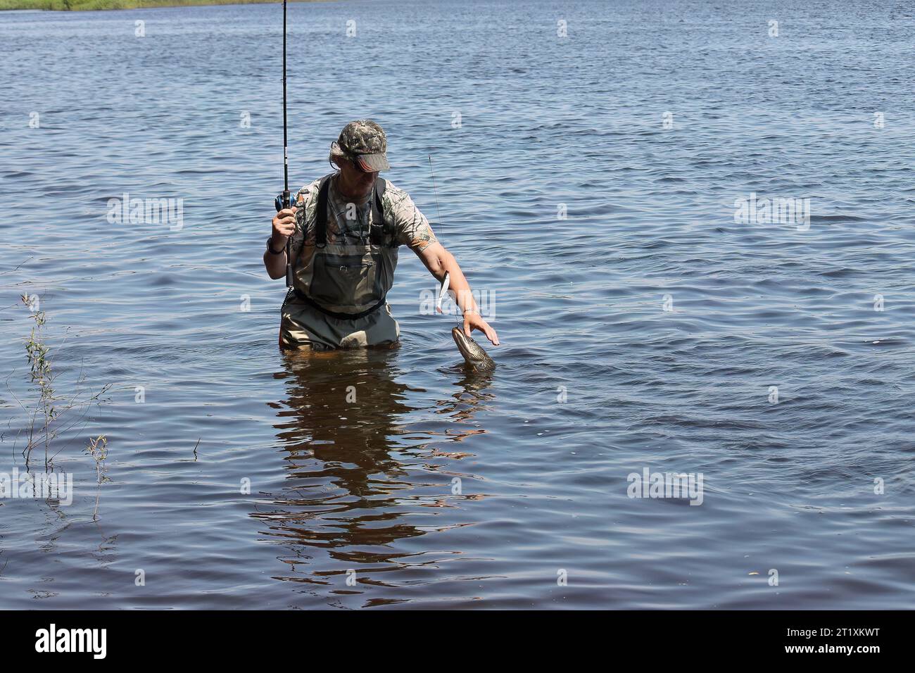 Fishing. One of a series of photos of fishermen catching northern pike ...