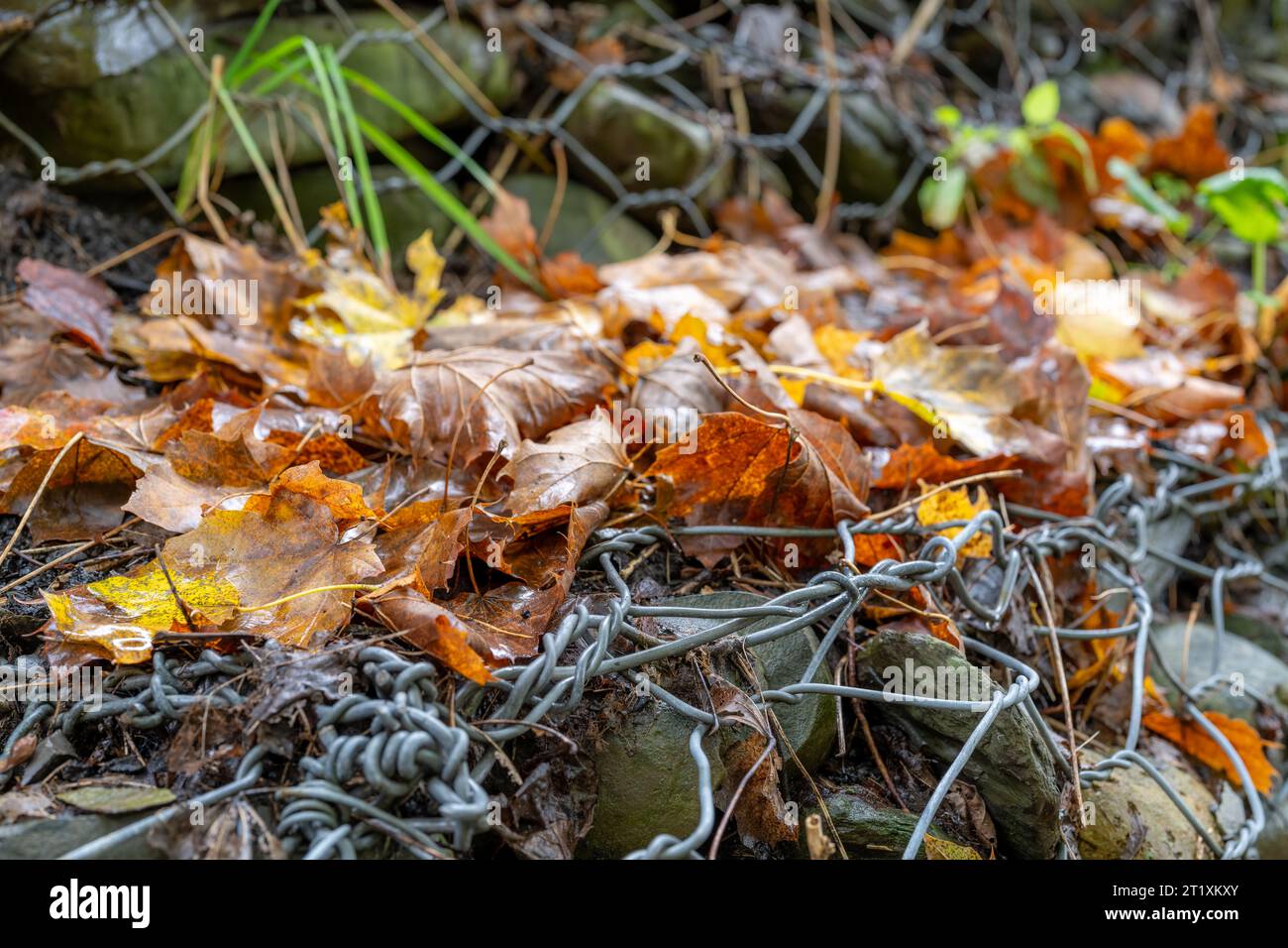 Retaining wall gabion baskets, Gabion wall caged stones textured ...