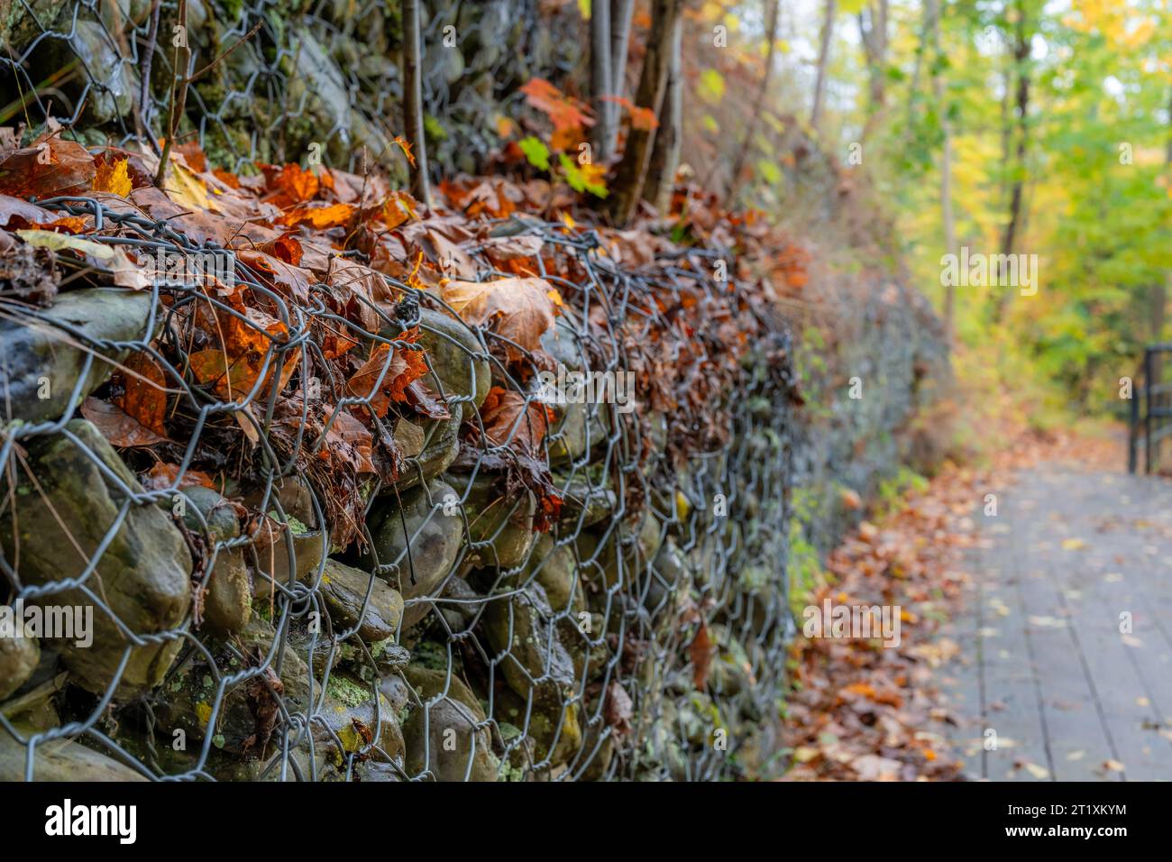 Retaining wall gabion baskets, Gabion wall caged stones textured ...