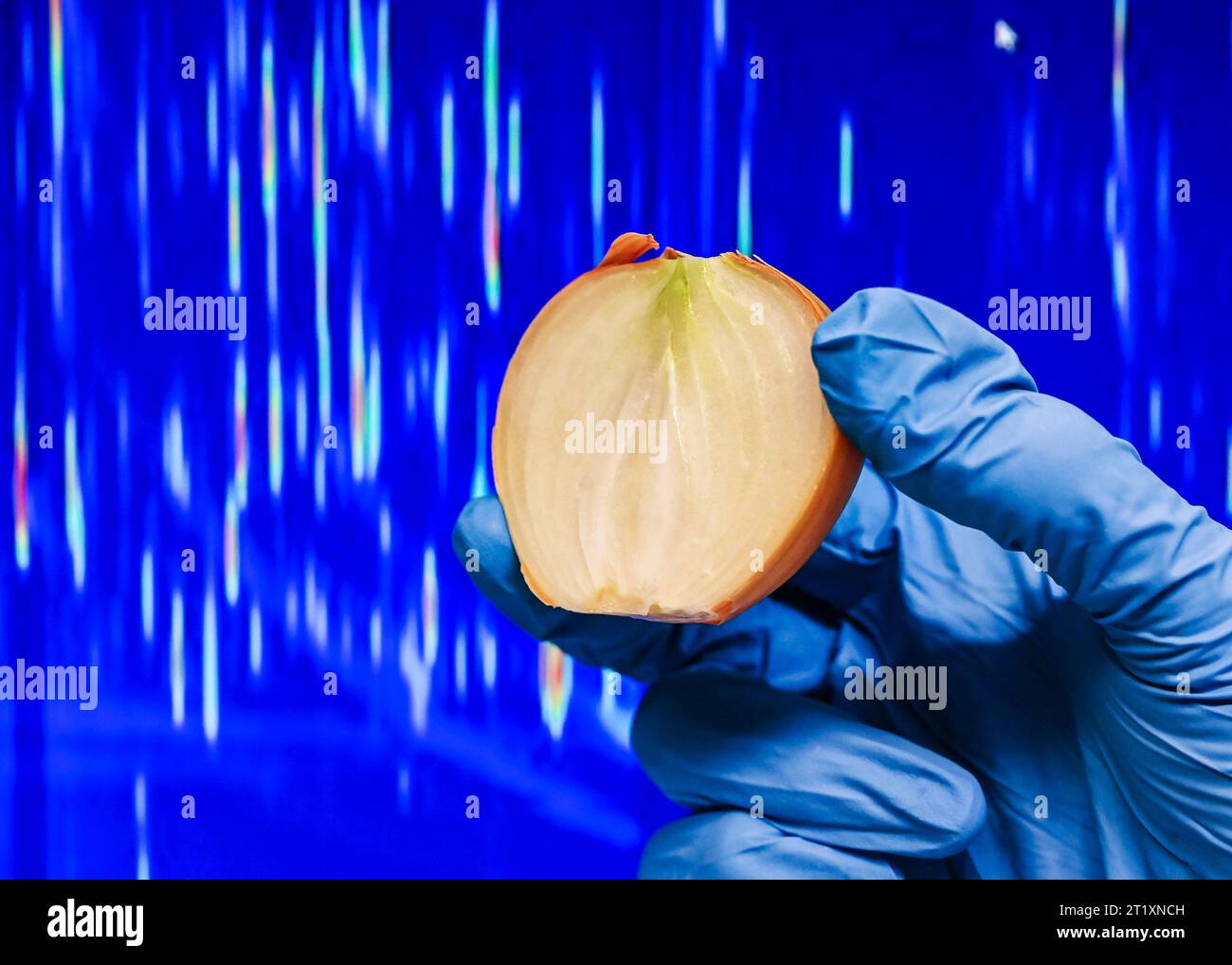 Karlsruhe, Germany. 25th Sep, 2023. At the Max Rubner Institute (MRI ...