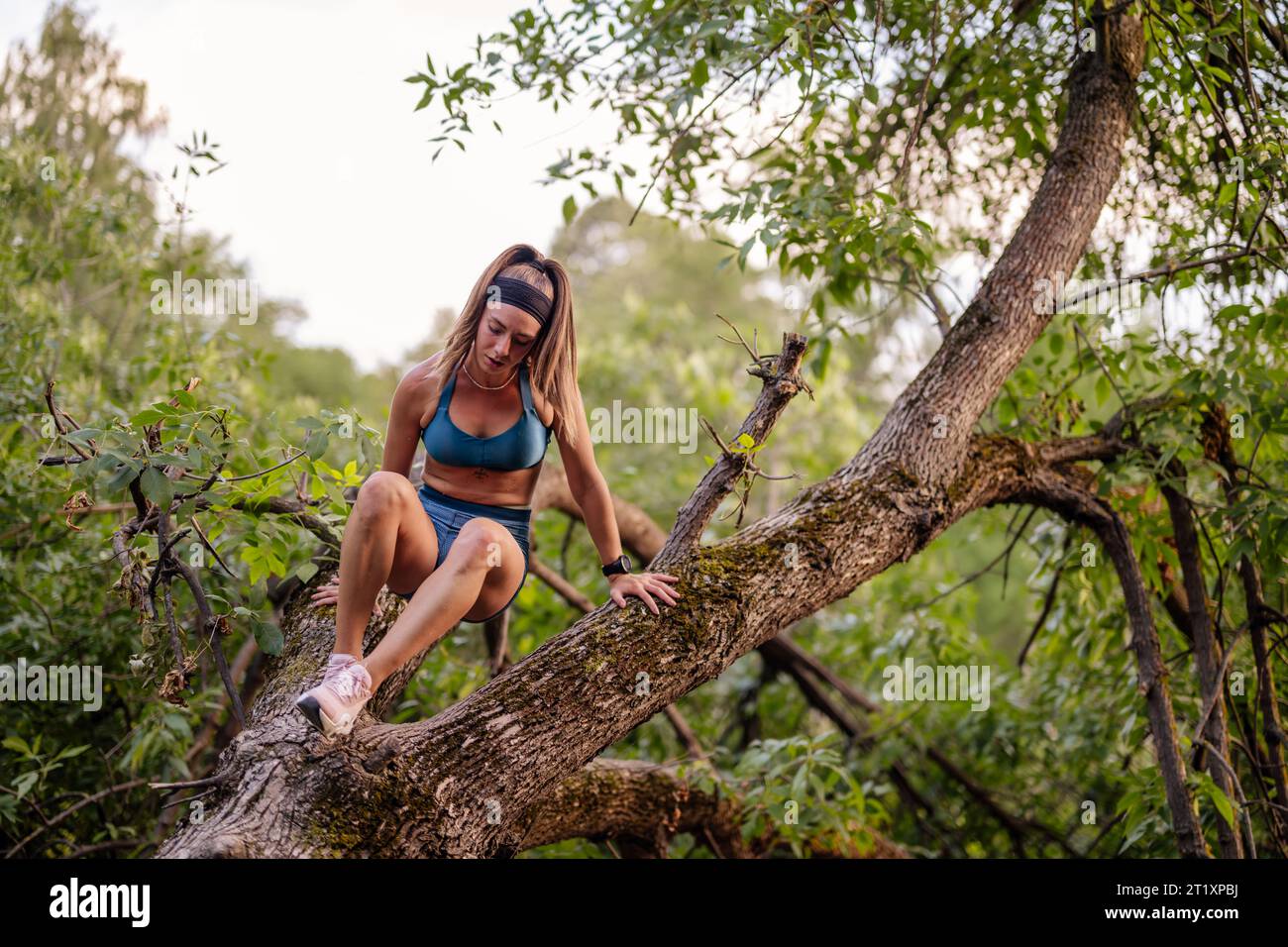 Fit Girl Strengthening Muscles and Flexibility with Tree Exercise in ...