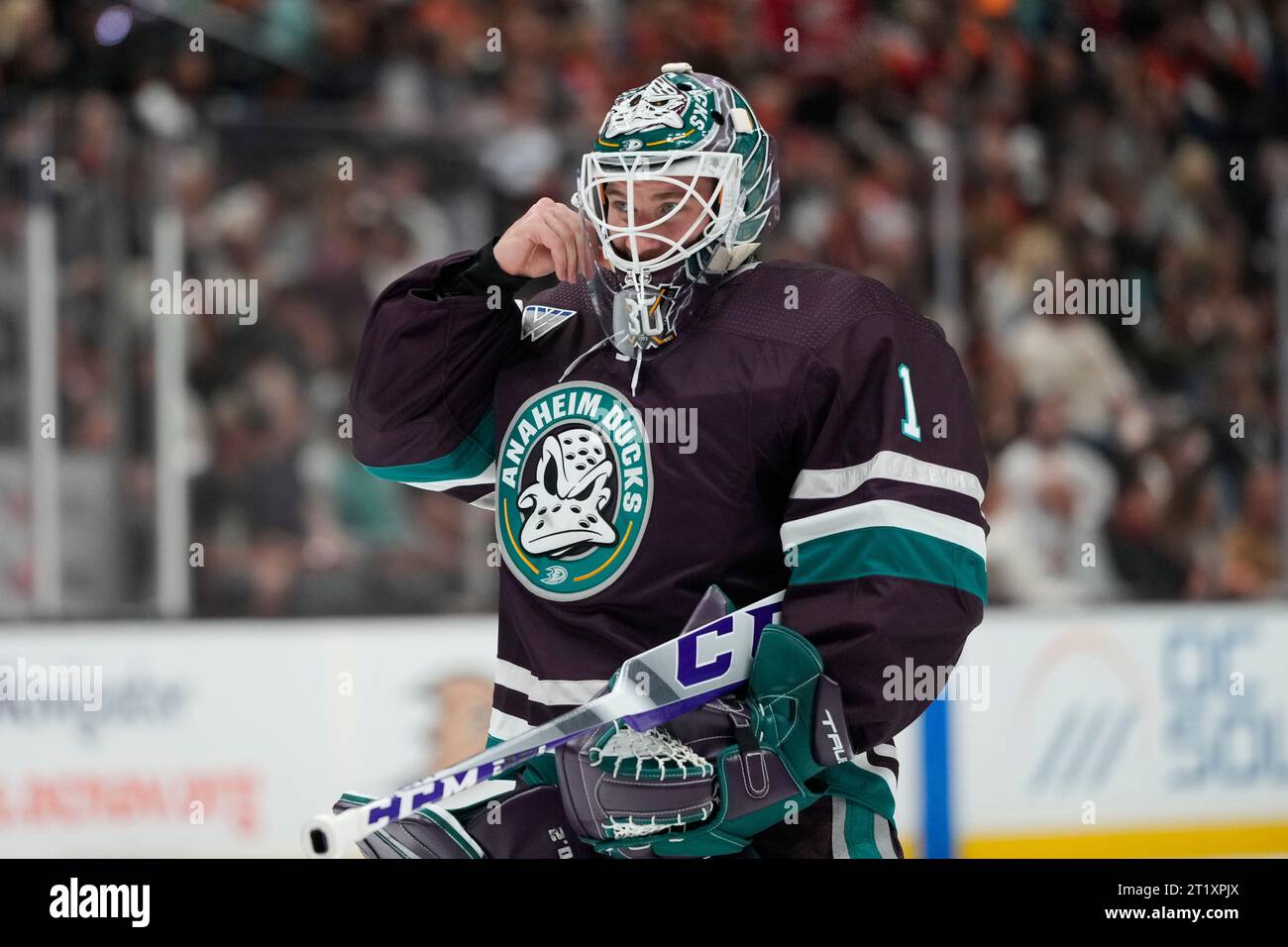 Anaheim Ducks goaltender Lukas Dostal puts on his mask during the ...