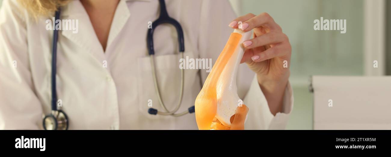 Doctor with stethoscope examines model of human joint Stock Photo - Alamy
