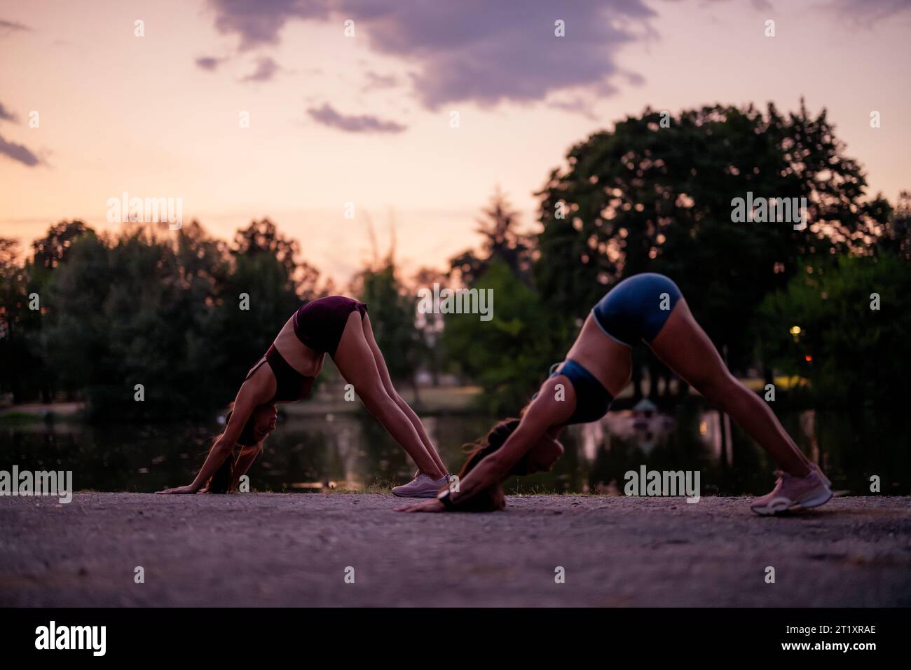 Nighttime Fitness Training in Nature: Active Female Athletes Flexing ...