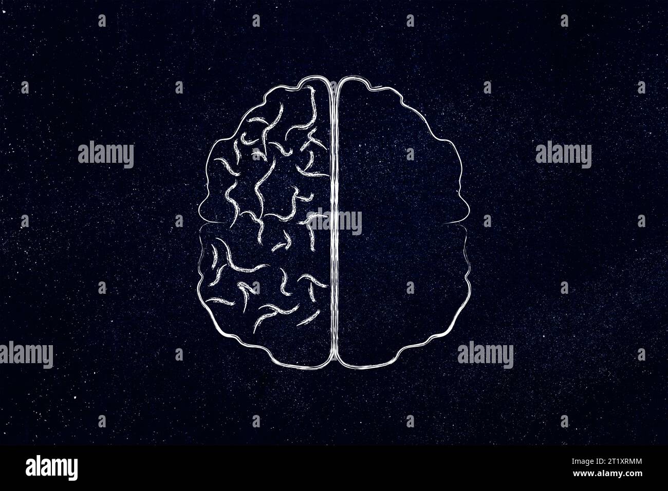 lft brain vs ight brain conceptual illustration, brain with empty right ...