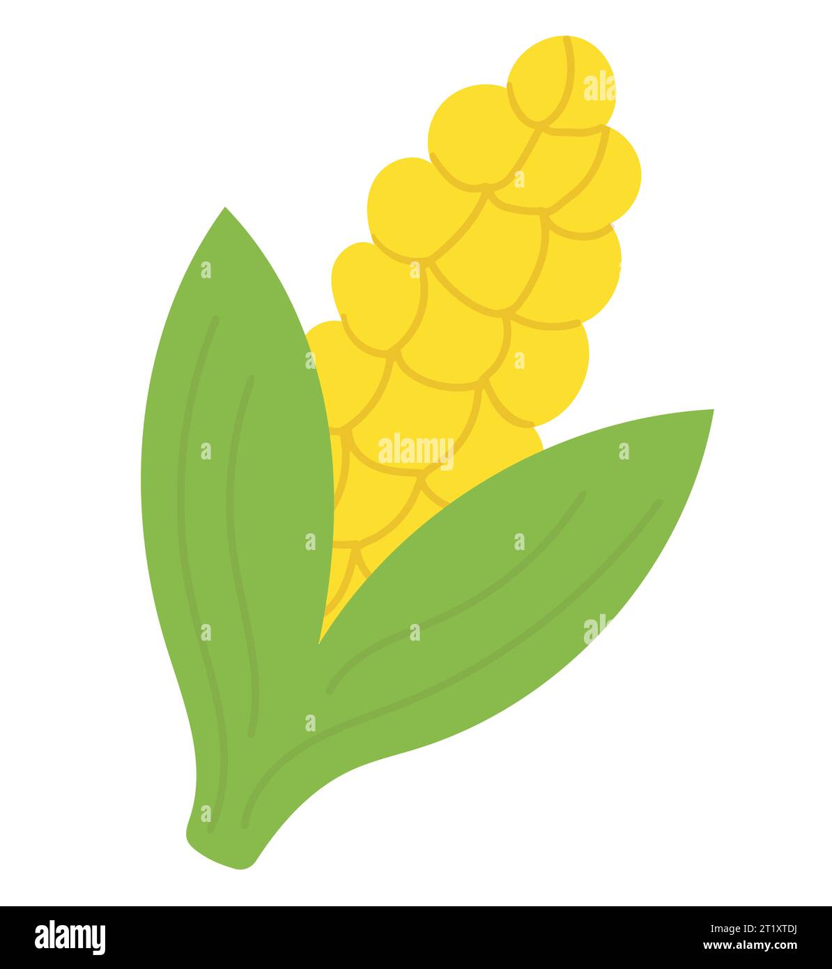 Corn On The Cob. Maize Icon flat Illustration. Harvest Vector Symbol ...
