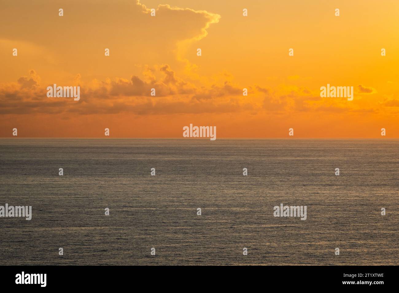 Colorful spring wildflowers covered the roadside and public areas in ...
